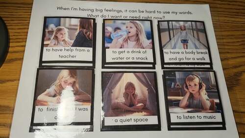 Self-Regulation Choice Board with Visual Step Cards by Pepper Dog Studio