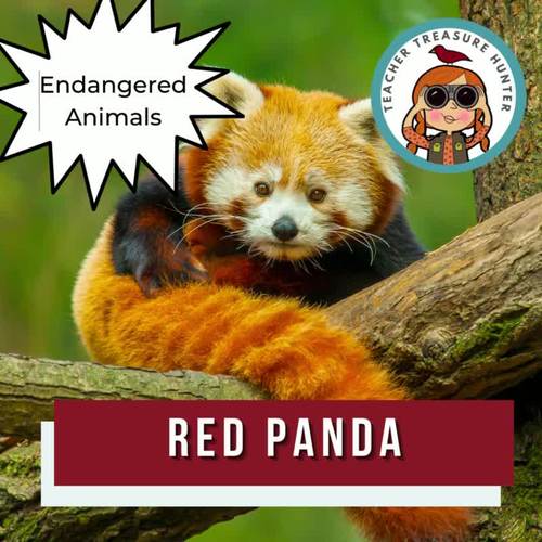 Endangered animal Red Panda information page for reading and writing ...