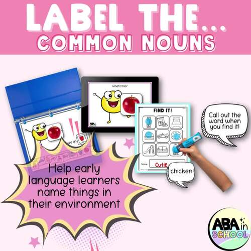 Identifying Nouns - Expressive Vocabulary activities and ABA data ...