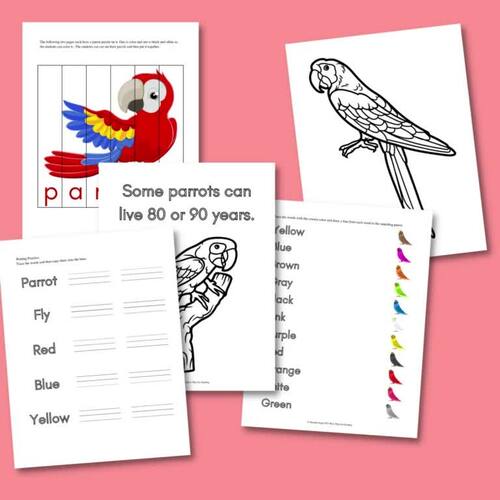 Parrot Lesson with Story Craft and More by More Than Just Reading