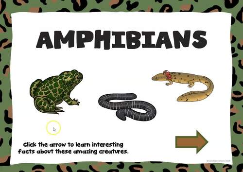 Amphibians Scavenger Hunt BOOM Cards by CarolJ Creations | TPT
