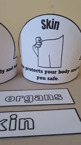 Skin Hat Craft & Coloring Page | Human Body Science Activity for Kids