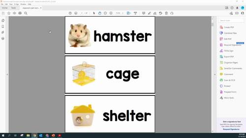 Classroom Pet Hamster Activities Bundle by Literacy Fundamentals