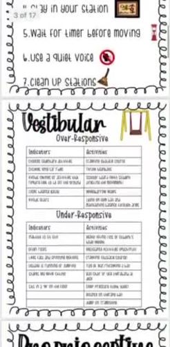 Sensory Room Bundle: Activties, Rules, Visual Schedules, Standards, and ...