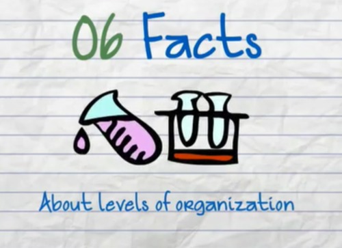 Intro video for teaching levels of organization biology 5th 6th 7th 8th ...