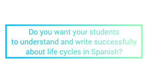 Life Cycle in Spanish Writing Activities 1st, 2nd and 3rd Grade | TPT