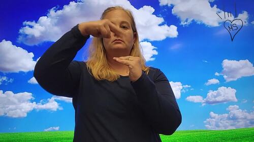 ASL Unit 6 Video 2 by Melissa Sexton | TPT