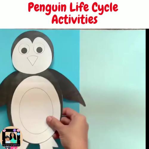 Penguin Life Cycle Activity | Polar Animal Life Cycle - Build a Penguin