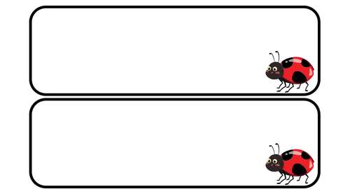 Editable Name Tags (Insects) by Mrs S | TPT