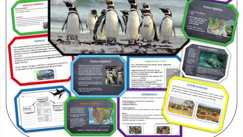 Animal Adaptations 4th and 5th Grade NGSS Science Lesson by Mrs Lena