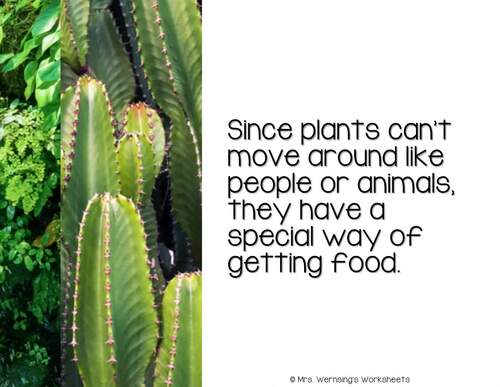 How Do Plants Eat? Projectable Read-Aloud Lesson - KINDER SCIENCE