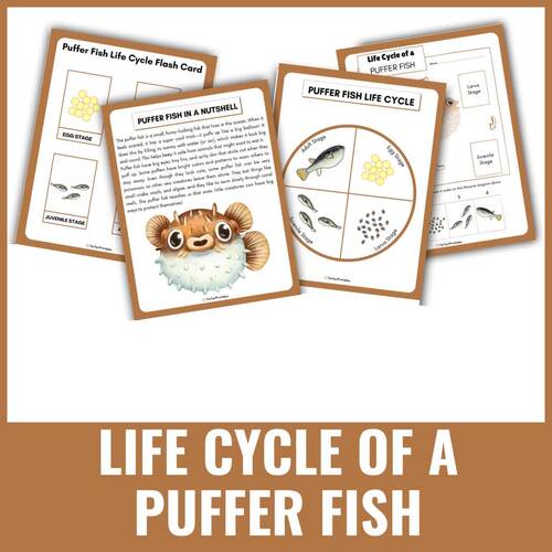 Puffer Fish Life Cycle Worksheet | Ocean Animal Unit Study With Fun Facts!