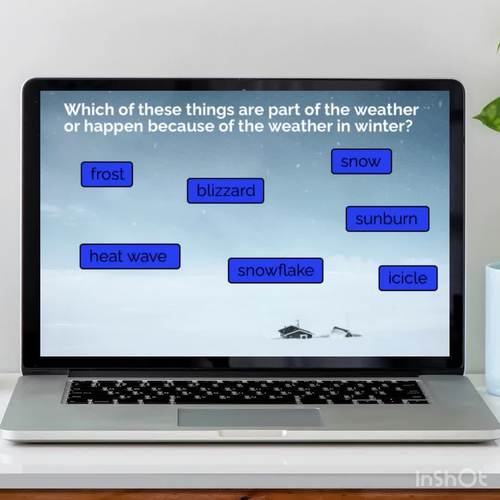 Winter Vocabulary Task Cards on Boom by The ESL Educator | TPT