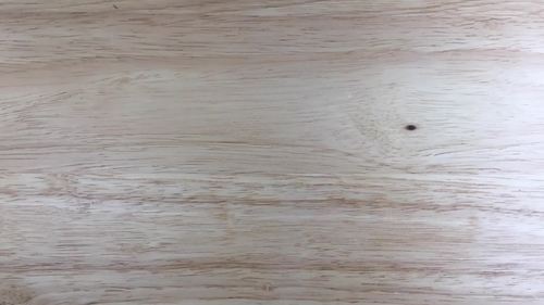 Santa's Gone Surfing by P. Crumble - Book Study for Year 3, 4 and 5