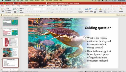 IB Biology C4.2: Transfer of energy and matter (first exams in 2025)