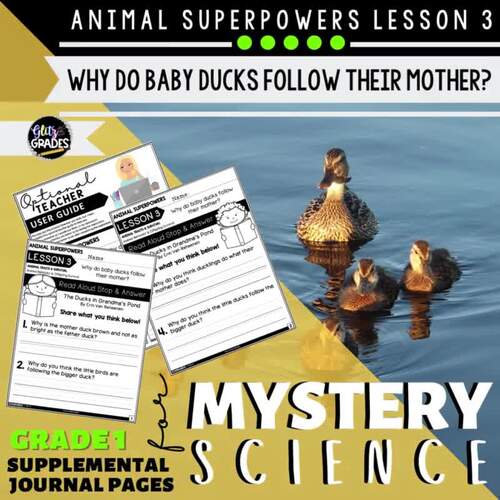 Mystery Science 1st Grade SUPPLEMENT Animal Superpowers Lesson 3 Animal ...