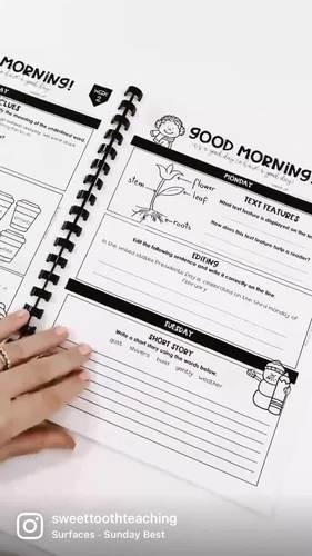 Winter ELA Morning Work | Early Finisher Printables | 3rd-4th ELA Review