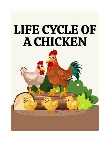 Life Cycle of a Chicken Worksheets | Farm Animal Life Cycle Activities ...