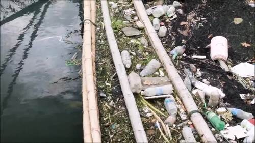 Why Should We Ban Bottled Water? | Boom™ Learning Cards | Environmental ...