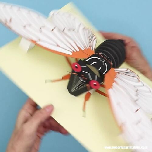 3D Cicada Craft by Super Fun Printables | TPT