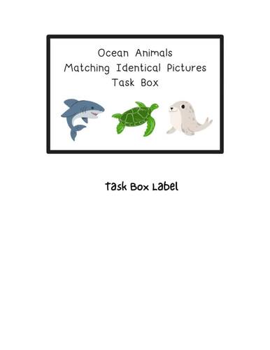 Ocean Animals Task Cards | Visual Discrimination Preschool & Special ...