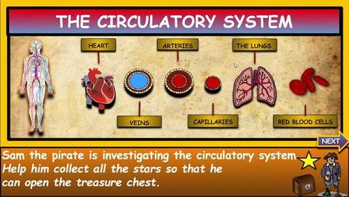 Circulatory System Lesson Heart: Presentation | Drag and Drop |Puzzles ...