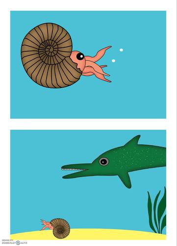 How a Fossil is Formed - Printable Sequencing Activity by Wonder at the ...