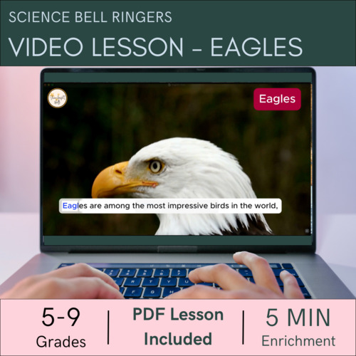Science bell ringer video (4 min) - Eagles - Middle school | TPT