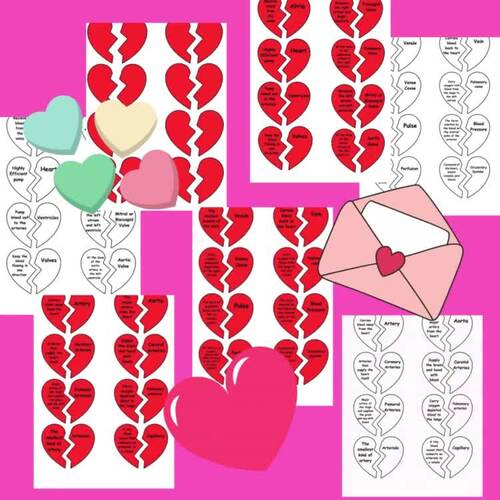 Valentine's Day Matchmaker circulation Puzzle- Health Science | TPT