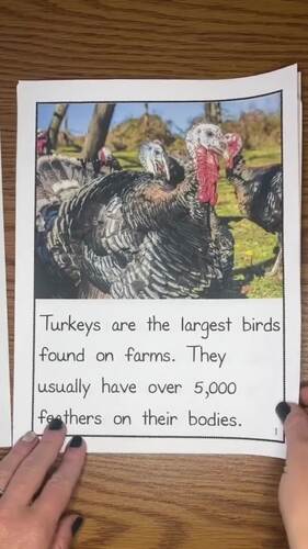 Turkeys Nonfiction Information Book & Writing Activities with Real Pictures