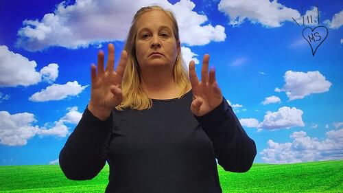 ASL Unit 6 Video 8 by Melissa Sexton | TPT