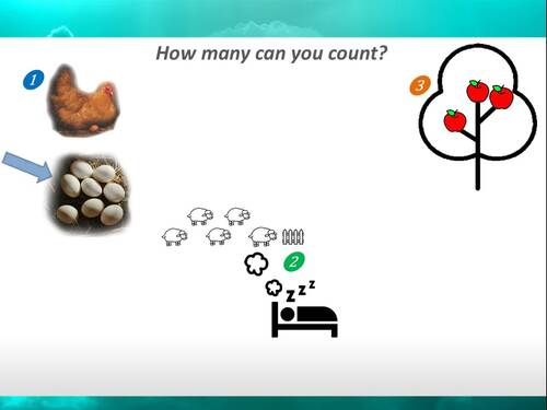 Taking Inventory / Complete Communicative ESL Counting Lesson for ...