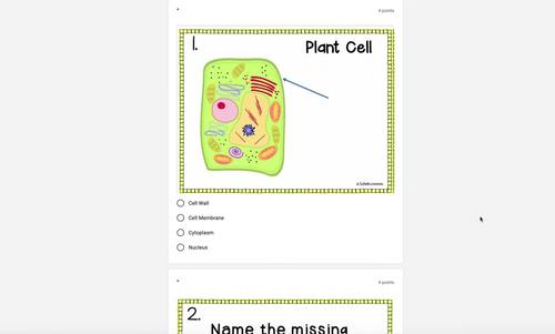 Life Science Task Cards with Google Forms™ - Classification - Cells ...