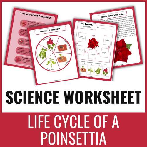 Life Cycle of a Poinsettia | Christmas Plant Science Unit Study With ...