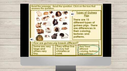 Guinea Pigs Non-Fiction (Boom Cards with Audio) by Living and Loving ...