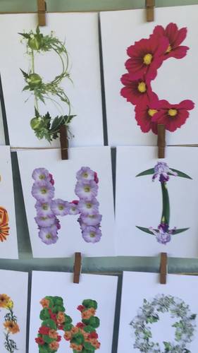 Floral Bulletin Board Letters | Flower Alphabet | Phonetic Flower ABC