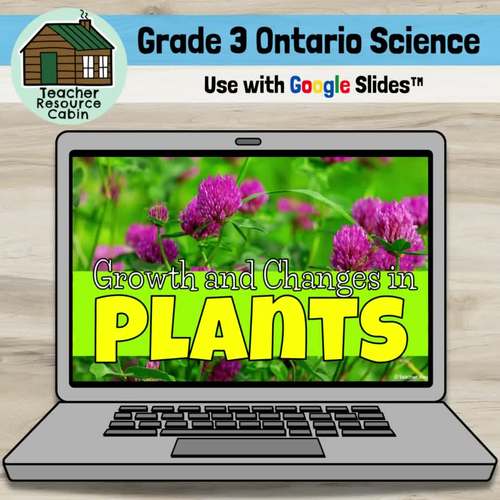 Grade 3 Ontario Science for Google Slides™ by Teacher Resource Cabin