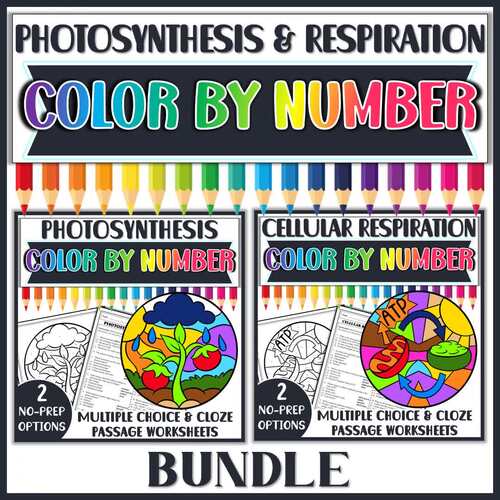 Photosynthesis & Cellular Respiration Color by Number Bundle |Worksheet ...