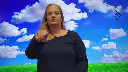 ASL Unit 5 Video 17 by Melissa Sexton | TPT