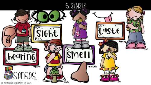 5 {five} senses clip art, Smell, Sight, Hearing COMBO PACK | TPT