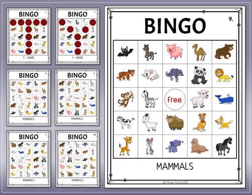 Mammals Bingo -- 5x5 Grid by Jollymum | Teachers Pay Teachers