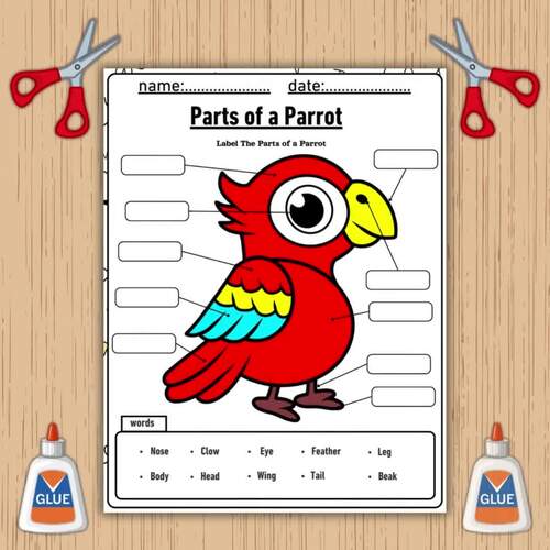 Parts of a Parrot Worksheet | Label the Parrot | Bird Science Activity ...