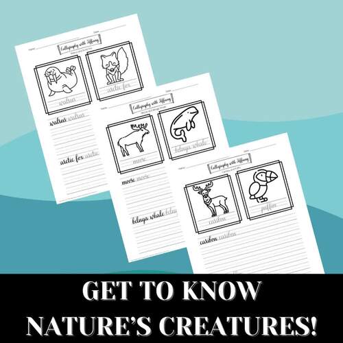 ARCTIC ANIMALS | Fun Cursive Handwriting Practice | COLORING IMAGES ...