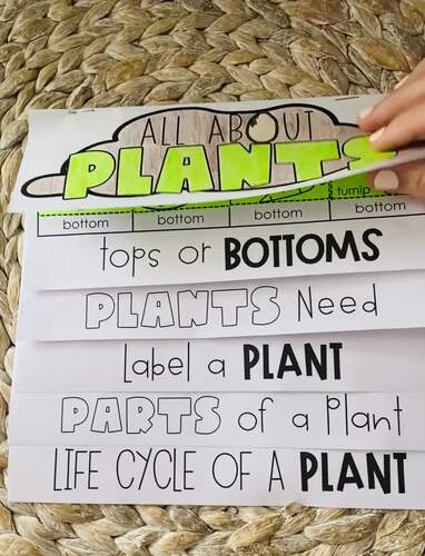 All About Plants Flip Up Book by Reagan Tunstall | TPT