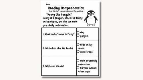 Kindergarten Reading Comprehension Passages - Set 2 by LazyPup Shop