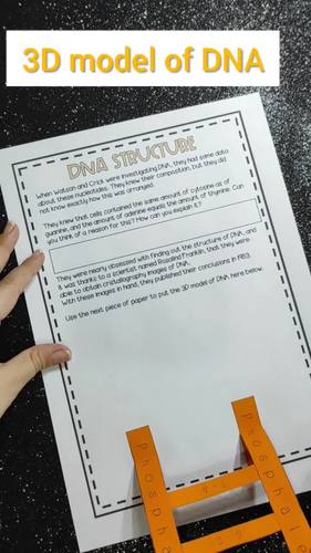 Dna And Nucleic Acids Notes And 3d Model Worksheet For Inb By Make Stem Proud