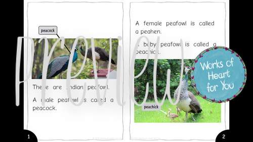 The Indian Peafowl - A non-fiction reader by Works of Heart for You