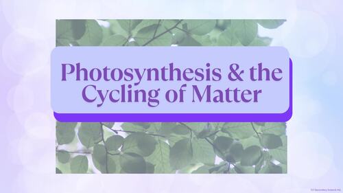 Photosynthesis and the Cycling of Matter and Energy Slides, Project ...