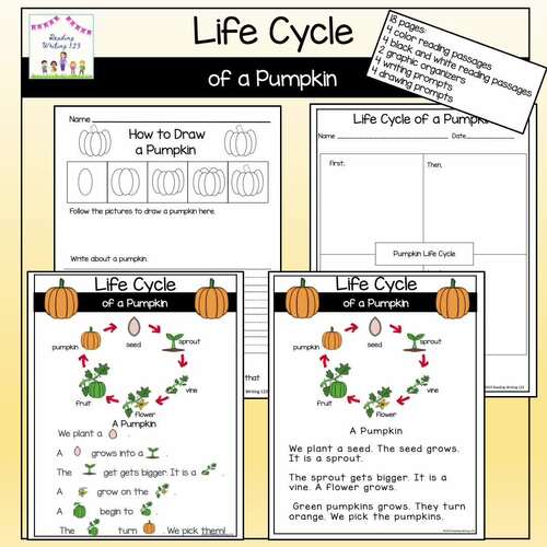 Pumpkin Life Cycle Reading, Writing, and Drawing Unit by Reading ...