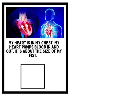 Adapted Book for Special Education (interactive book) Adapted Science ...